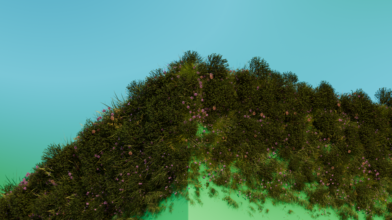 GREENROOFS® - This is Pacifica®